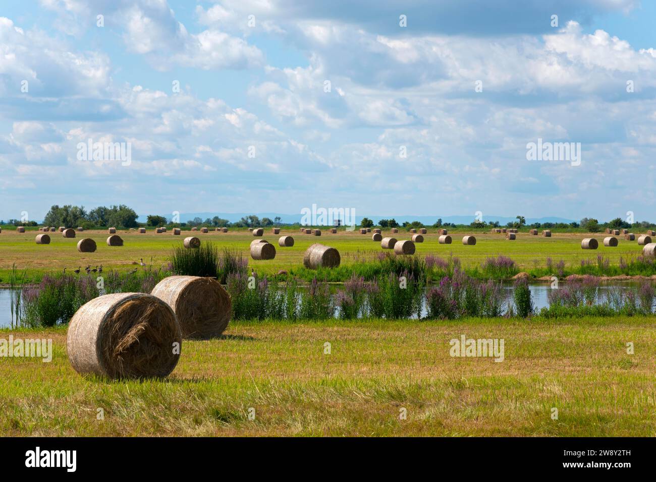 Puszta and steppe landscape with hay bales and lake near Kungyoergy in ...