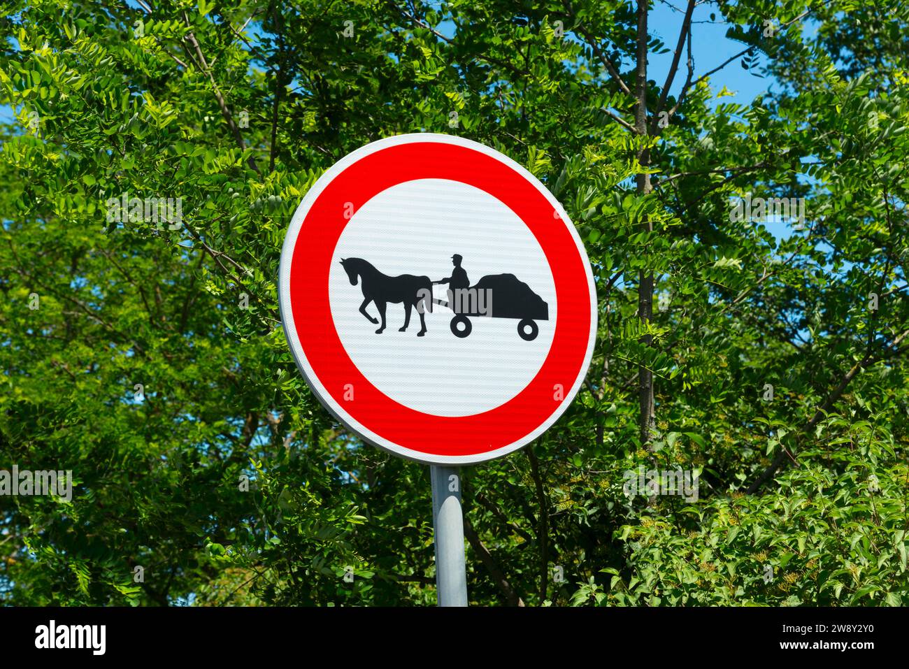 A traffic sign shows the ban on horse-drawn carriages on a blue sky and ...