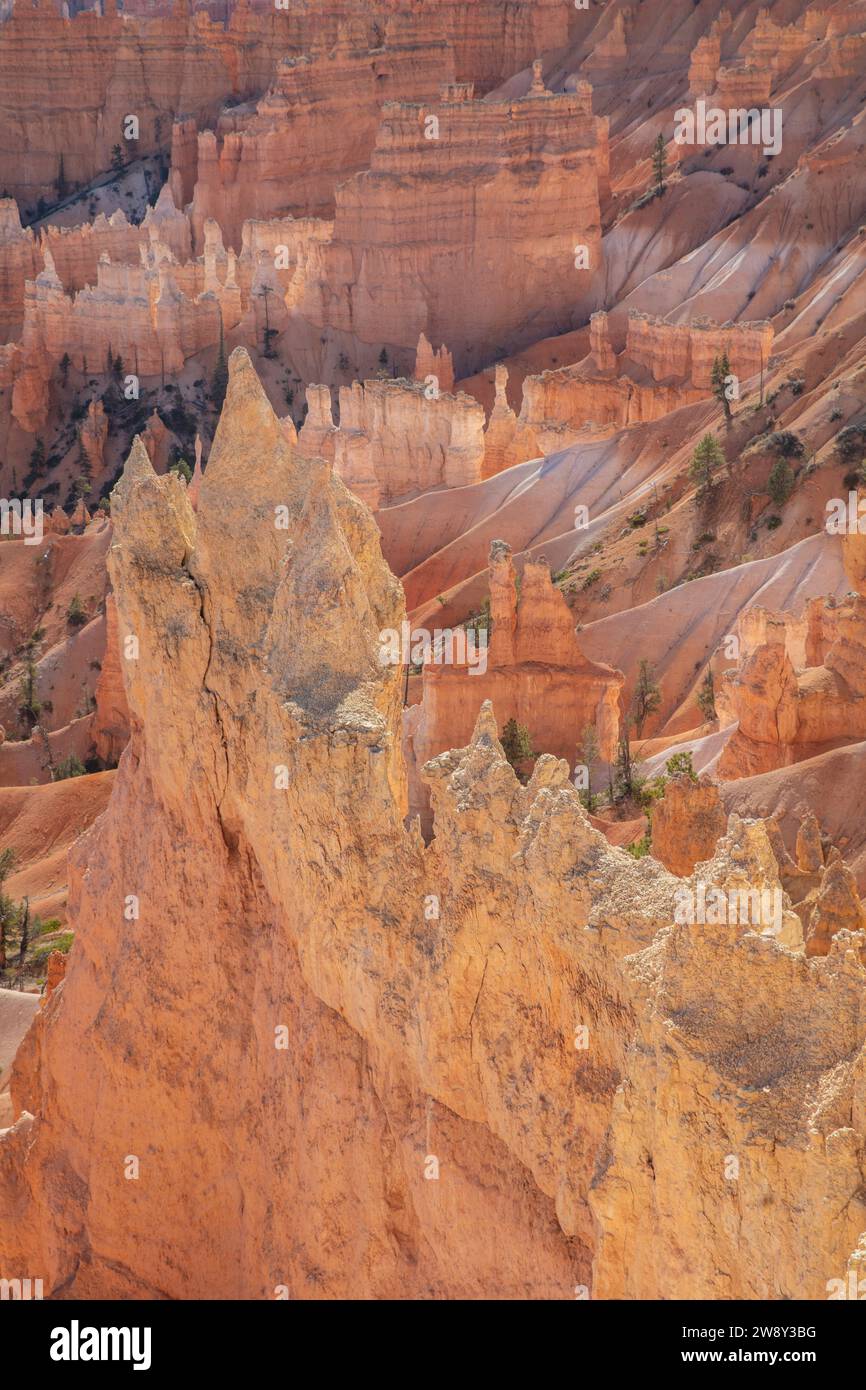 American Classic Landscapes: the spectacular hoodoos and fins of Bryce ...