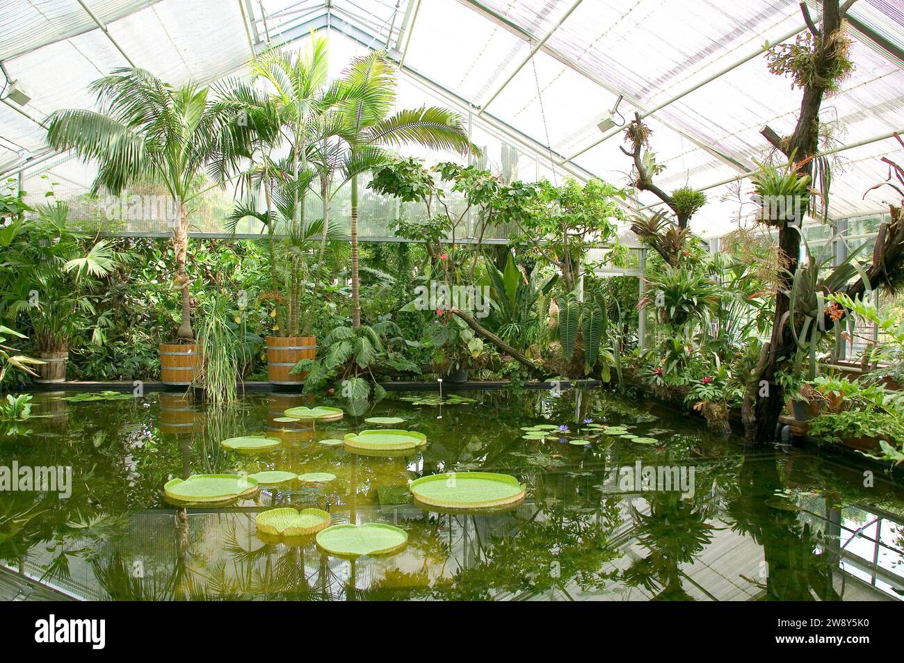 Dresden botanical garden hi-res stock photography and images - Alamy