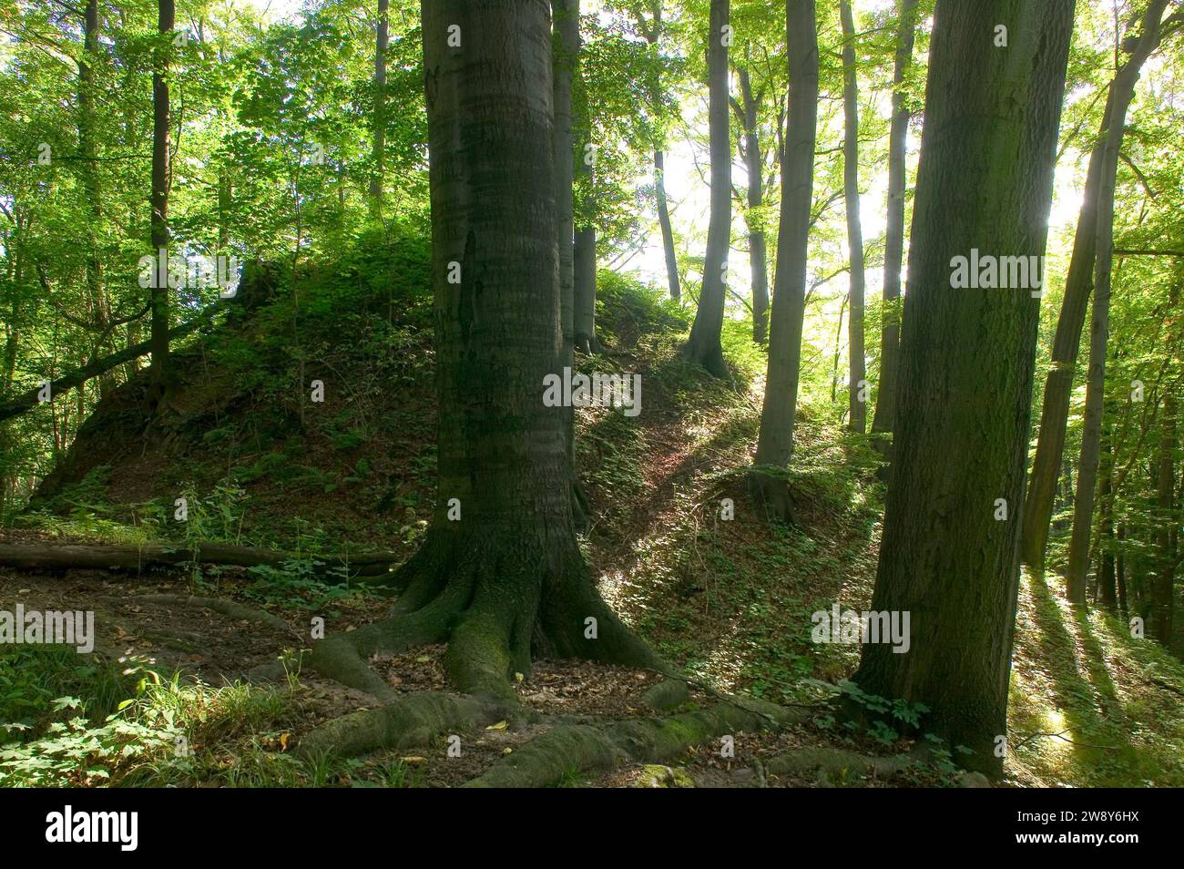Helfenberger grund hi-res stock photography and images - Alamy