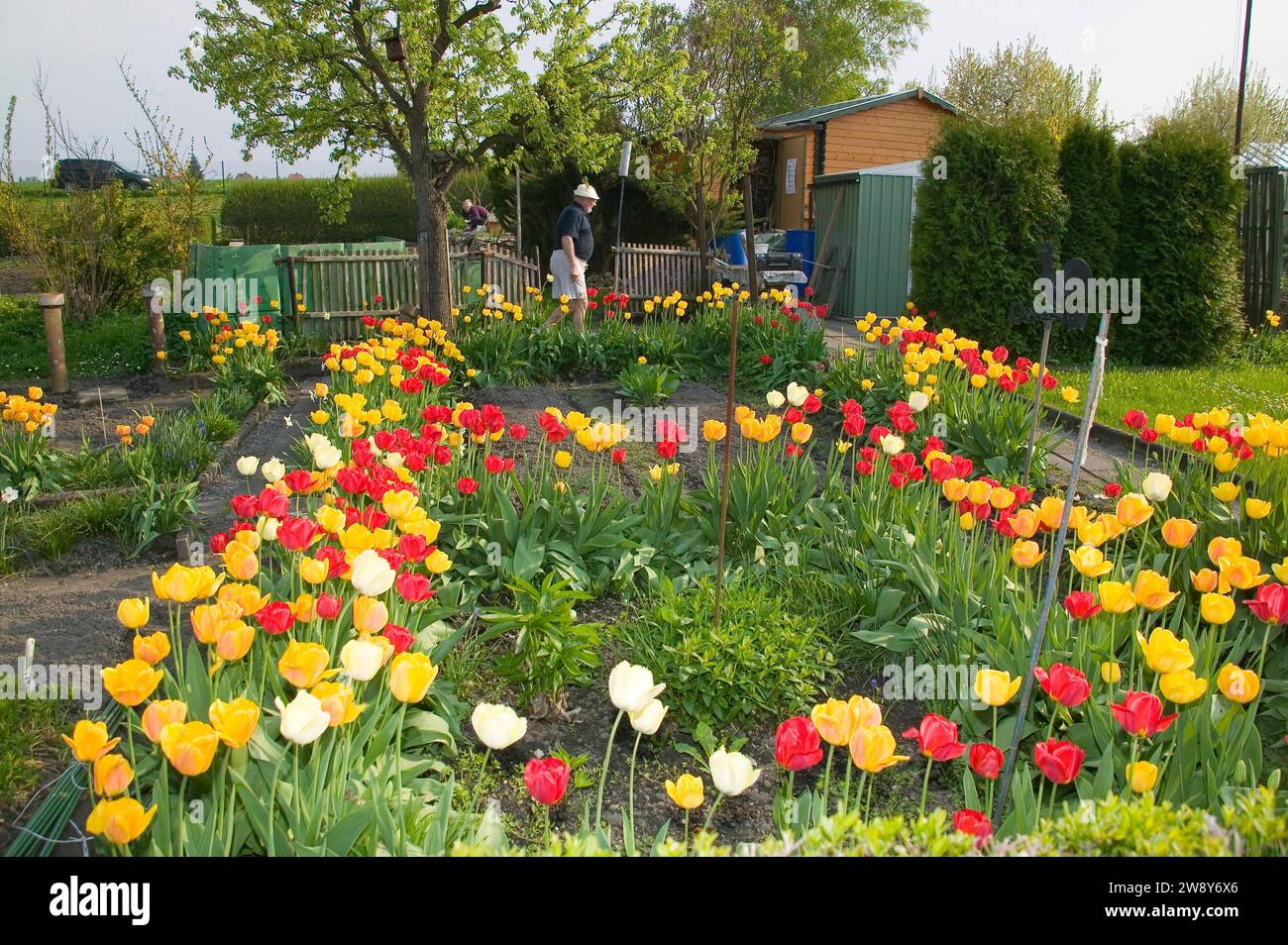 The allotment garden, also known as Schrebergarten, Heimgarten ...