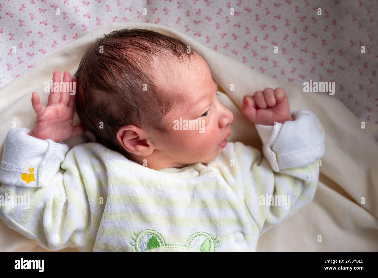 A new family member reactions with sun light and smile on his face ...
