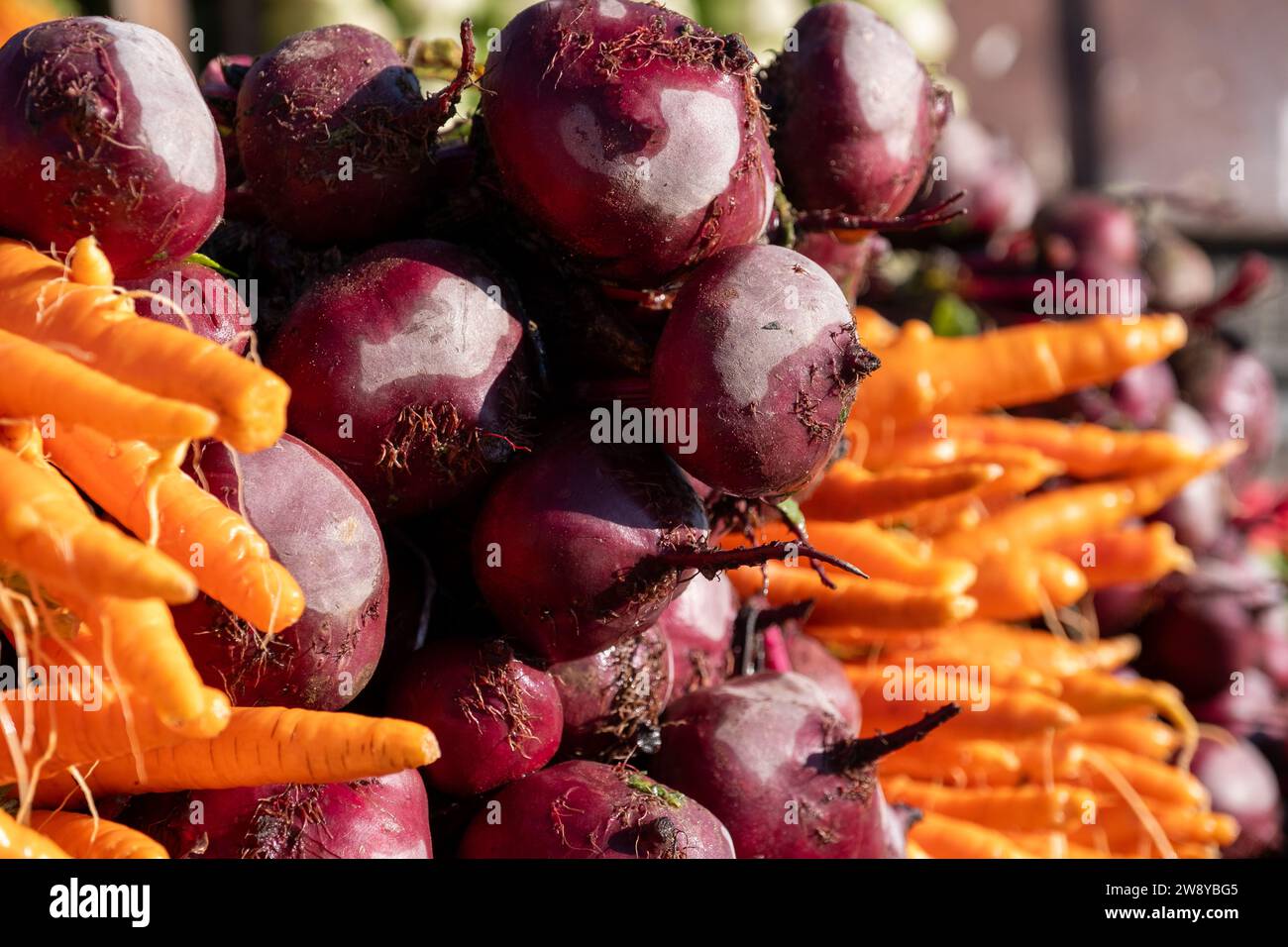 A diverse selection of freshly harvested root vegetables meticulously ...