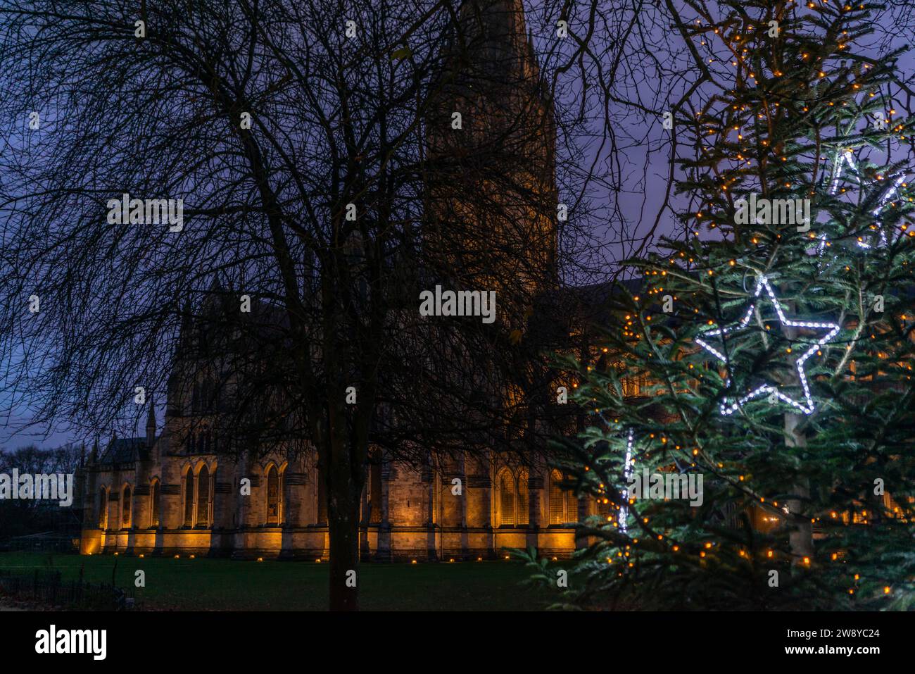 Salisbury Cathedral obscured by tree branches during Christmas ...