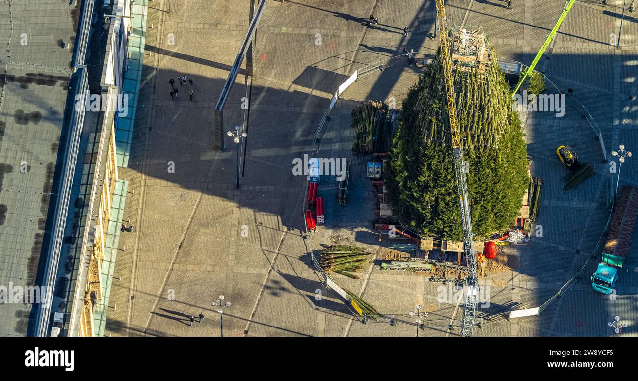 Aerial view, construction of the world's largest Christmas tree with a ...