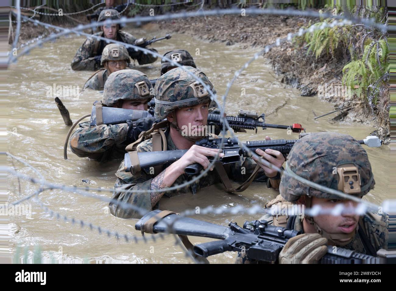 Okinawa, Japan. 15th Dec, 2023. Marines creep through a muddy pool ...