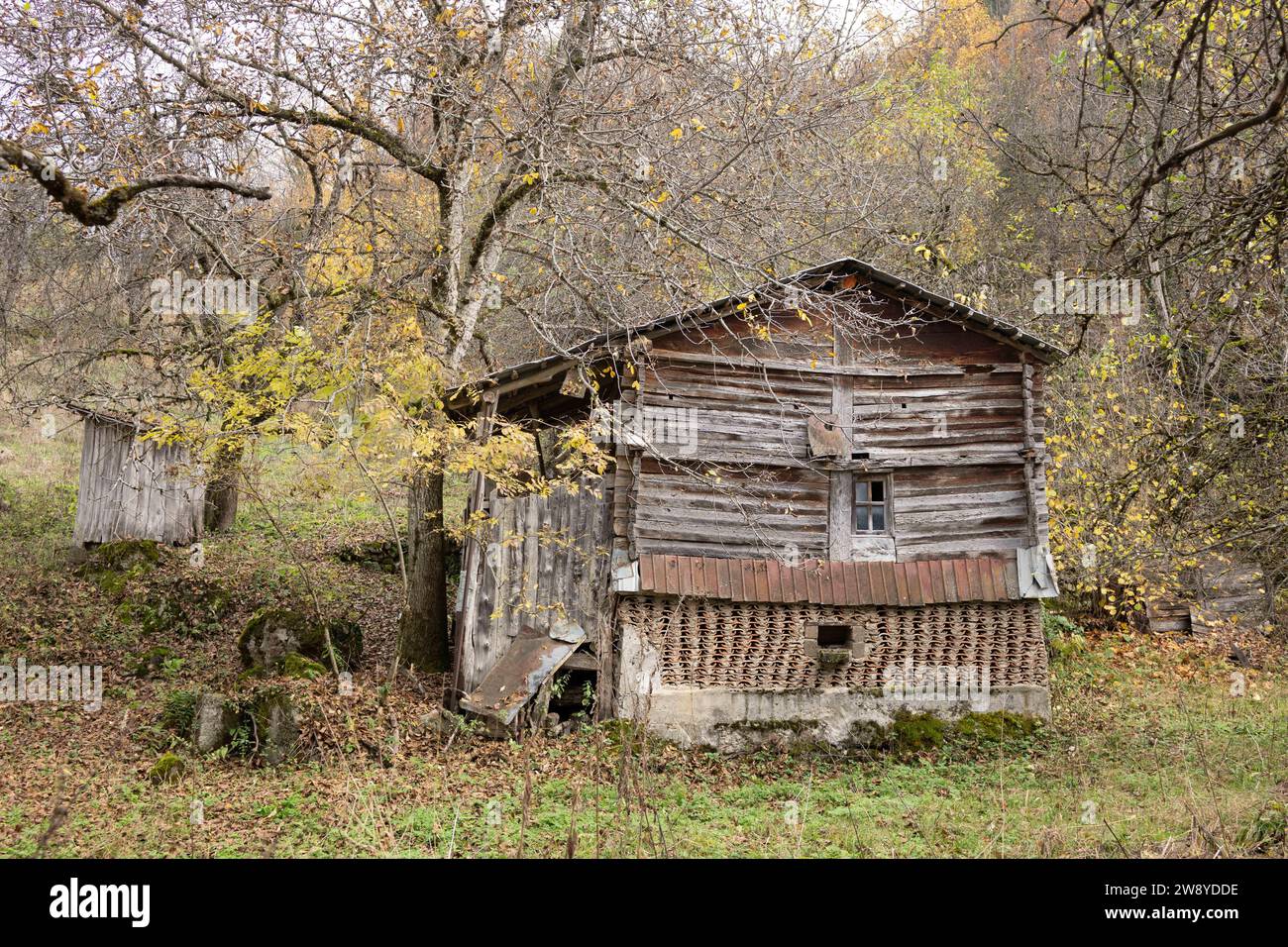 Oni, Georgia. 27th Oct, 2023. An abandoned wooden house in a wooded ...