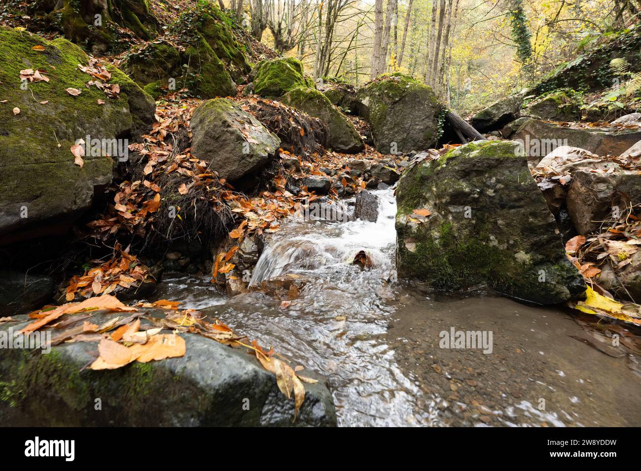 Oni, Georgia. 27th Oct, 2023. A stream in a wooded area. Credit ...