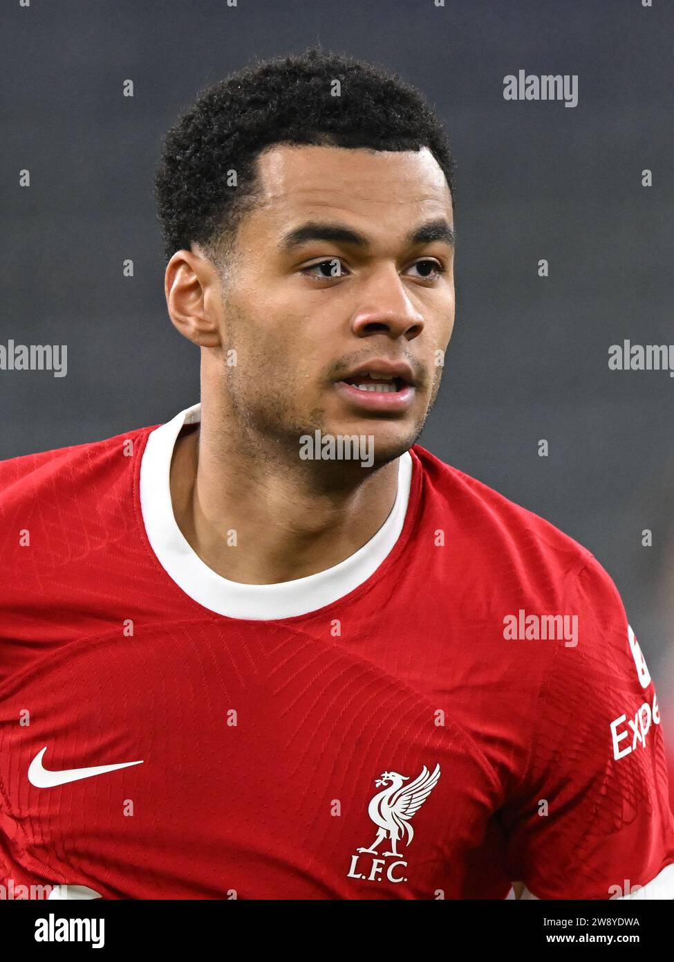 BRUSSELS - Cody Gakpo of Liverpool FC during the UEFA Europa League in ...
