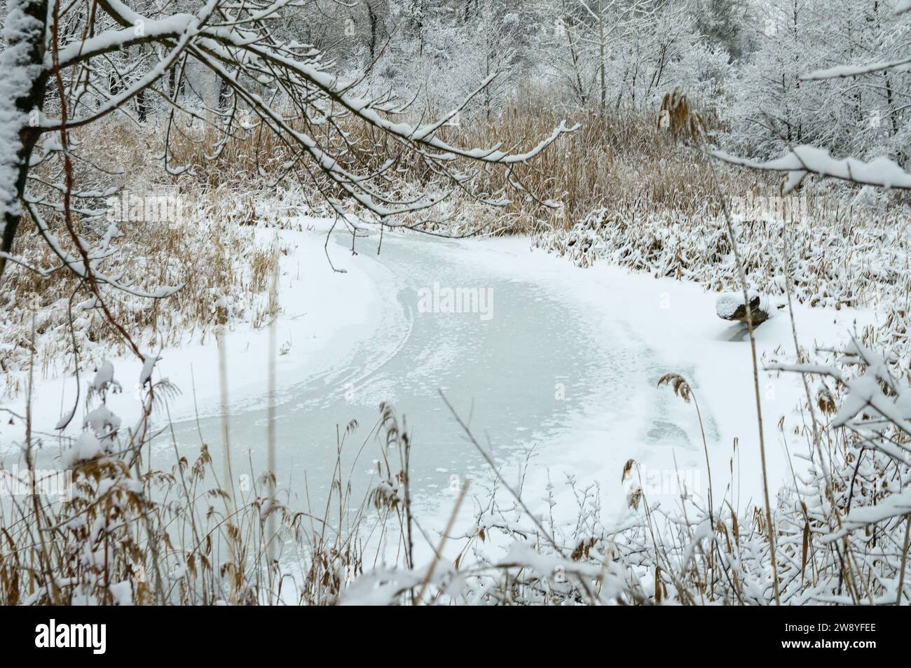 beautiful winter frozen river with trees along the bank 7 Stock Photo ...