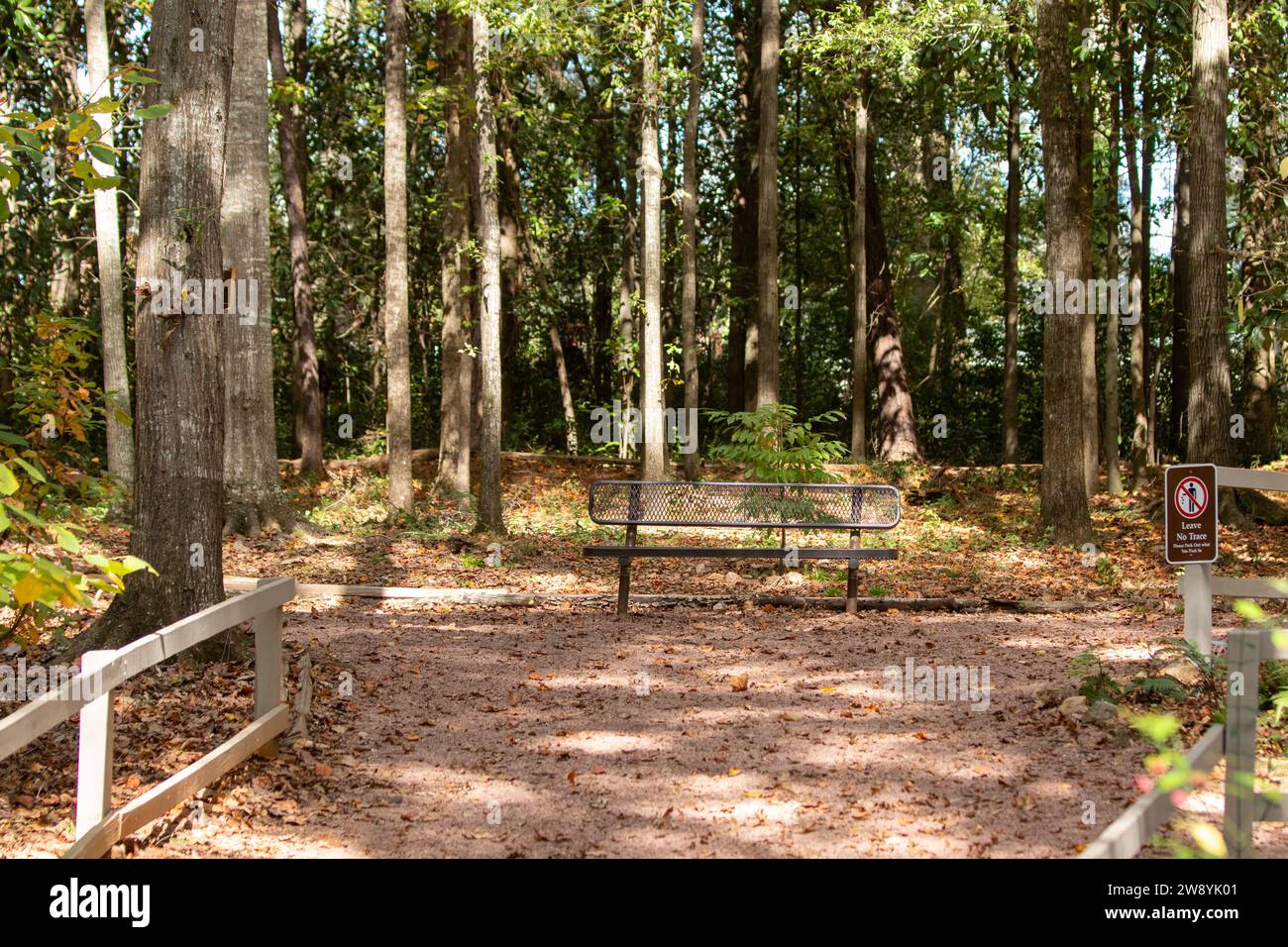 Bench on path hi-res stock photography and images - Alamy