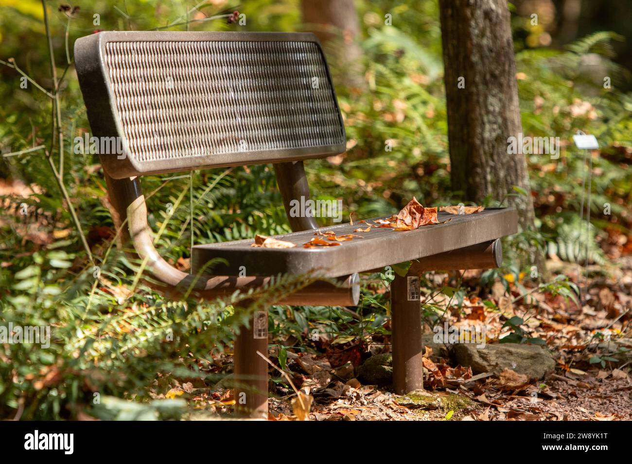 Park Bench with Fall Leaves Stock Photo - Alamy