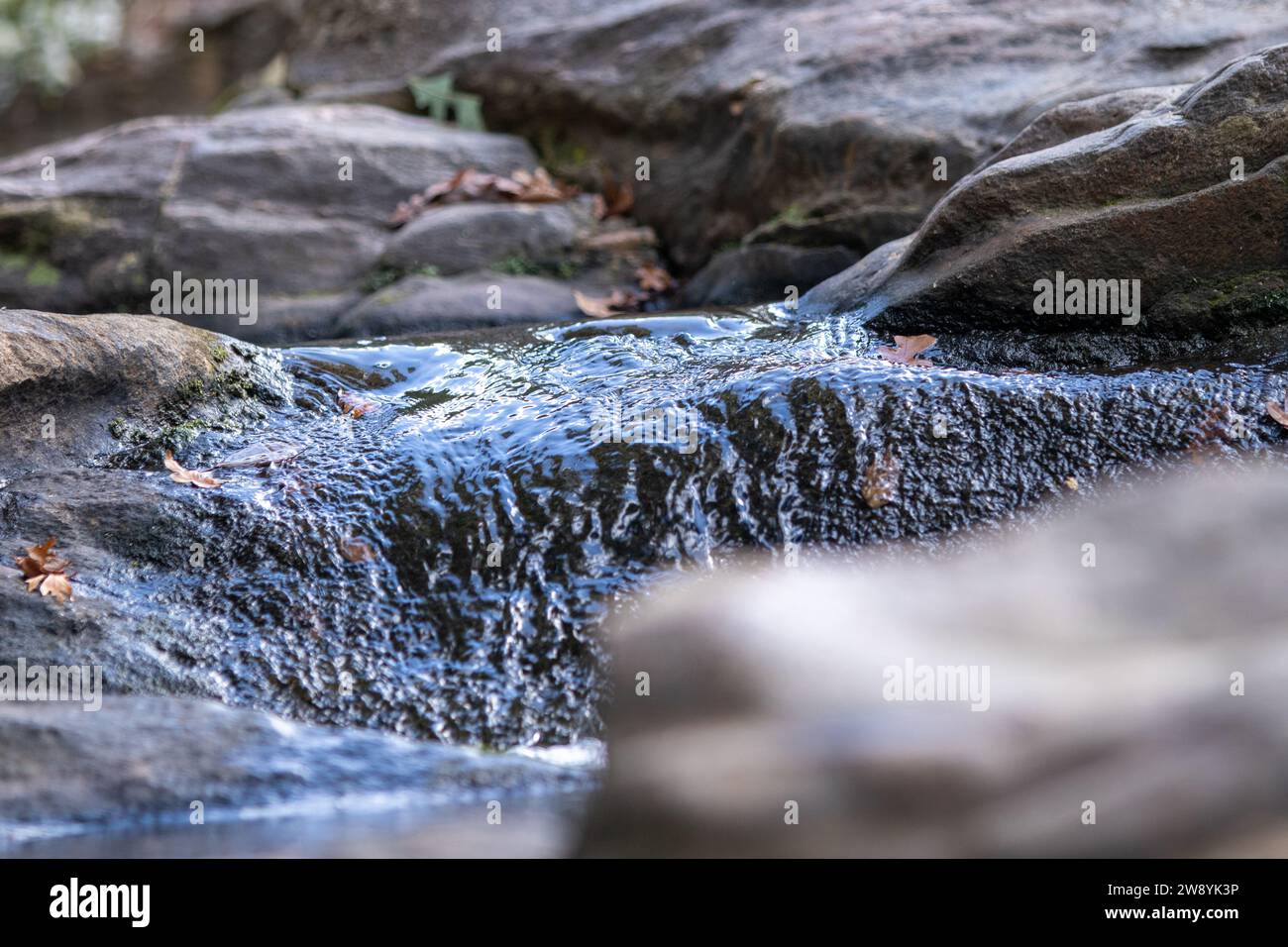 Beautiful view flowing river water hi-res stock photography and images ...
