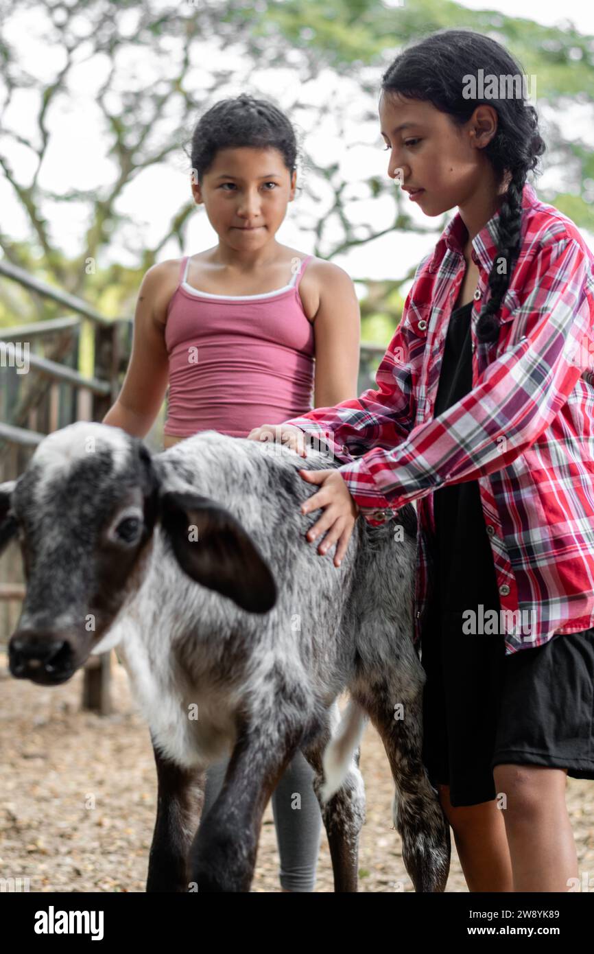 two Latina farm girls walking next to the little calf, touching it ...