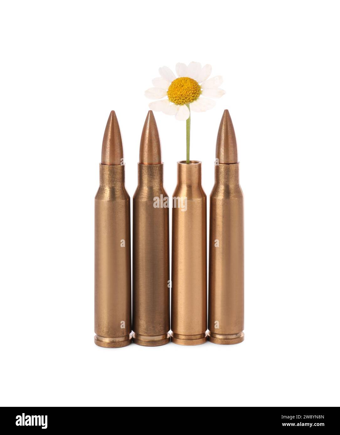 Bullets and cartridge case with beautiful flowers isolated on white ...
