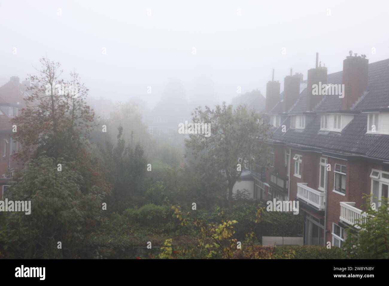 Beautiful buildings and trees in fog outdoors Stock Photo - Alamy