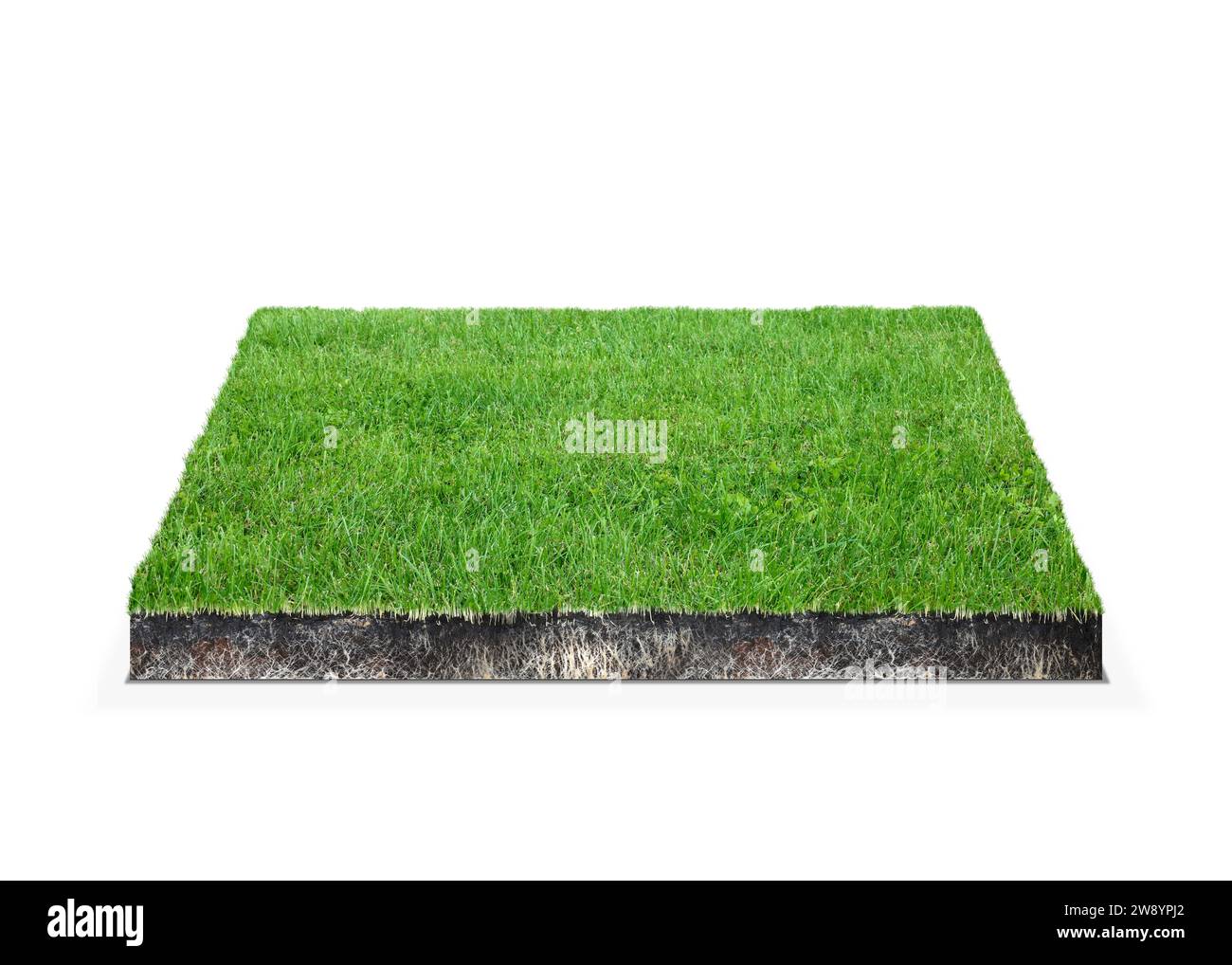 Green grass with soil. Land piece in shape of square isolated on white ...