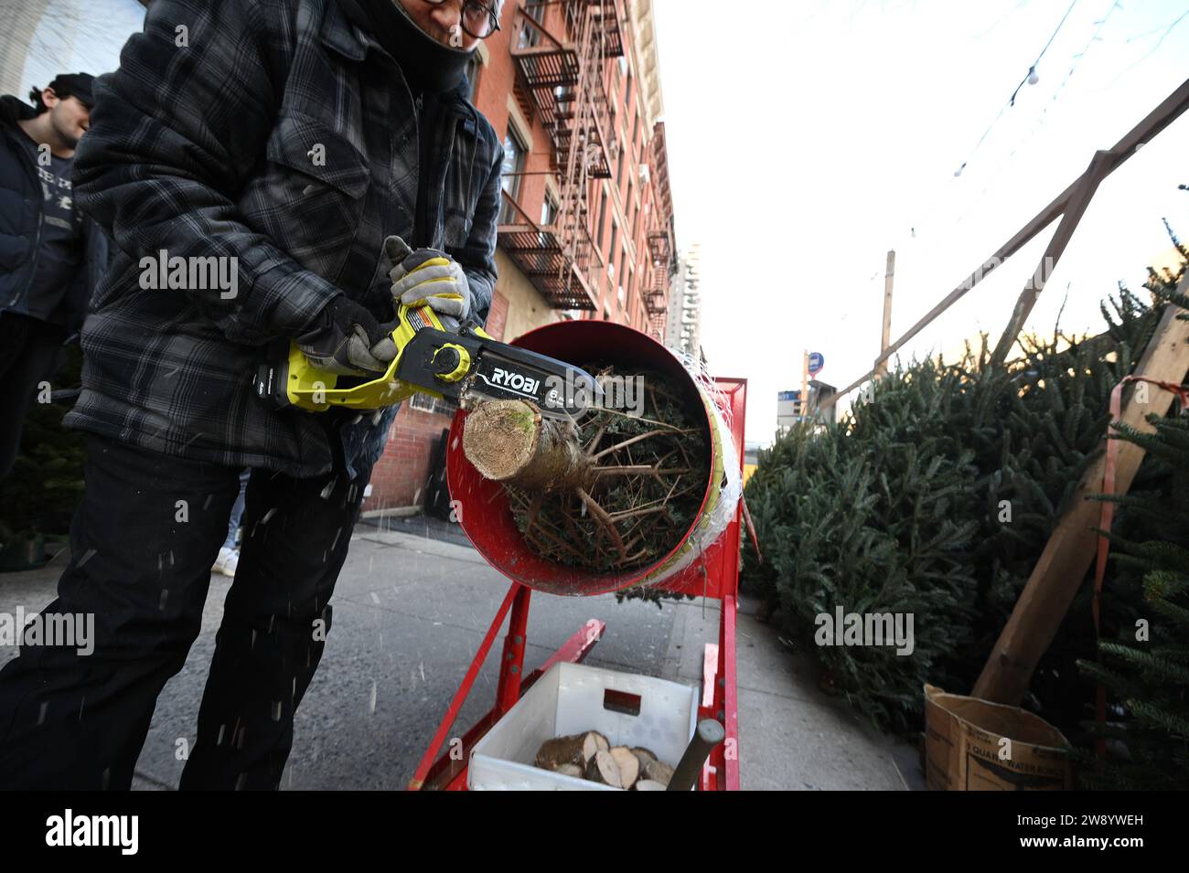 New York, USA. 22nd Dec, 2023. A tree vendor from Quebec trims the the ...