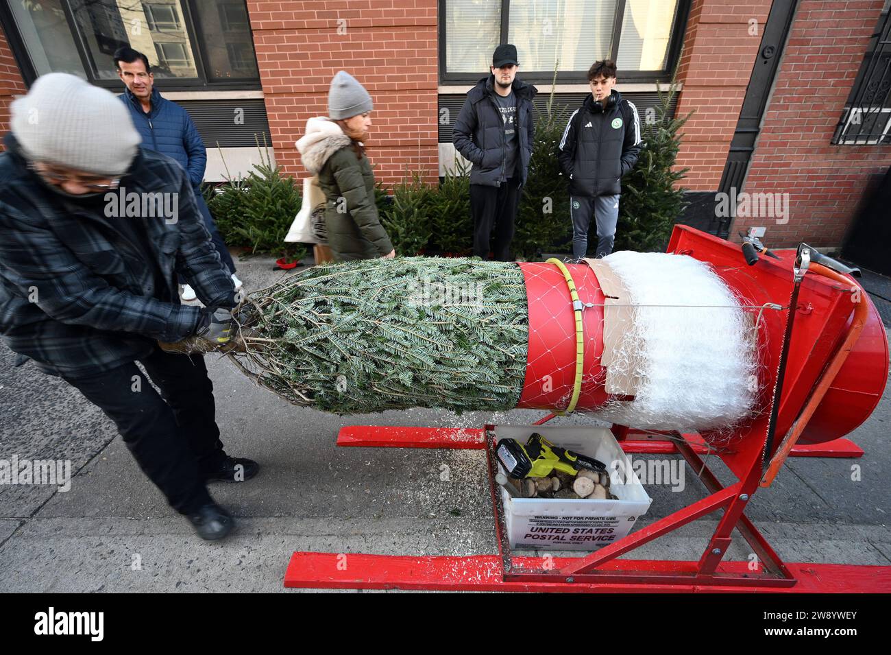 New York, USA. 22nd Dec, 2023. A tree vendor from Quebec prepares a ...