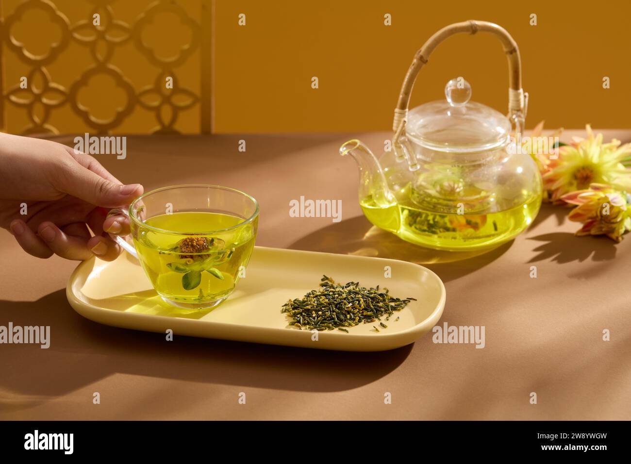 Female hand picking flowers hi-res stock photography and images - Alamy