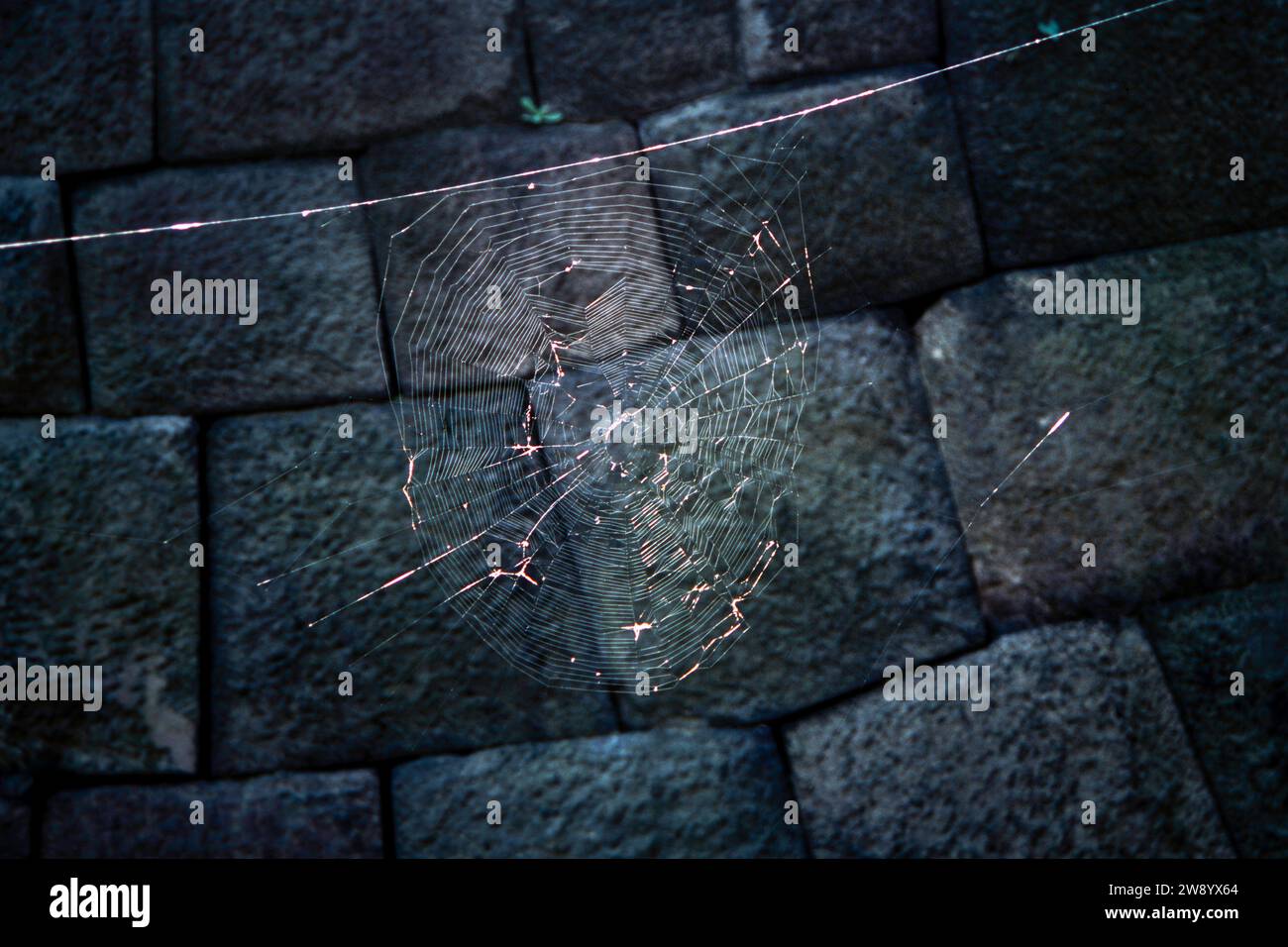 Spiderweb at the ancient stone wall in Tokyo Stock Photo - Alamy
