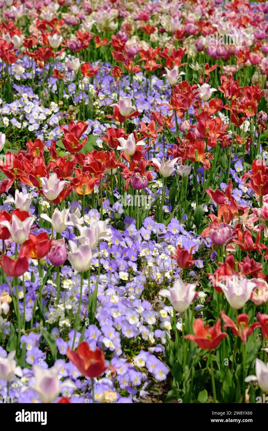 Berlin Germany - Gardens of the World - Sea of flowers in the garden ...