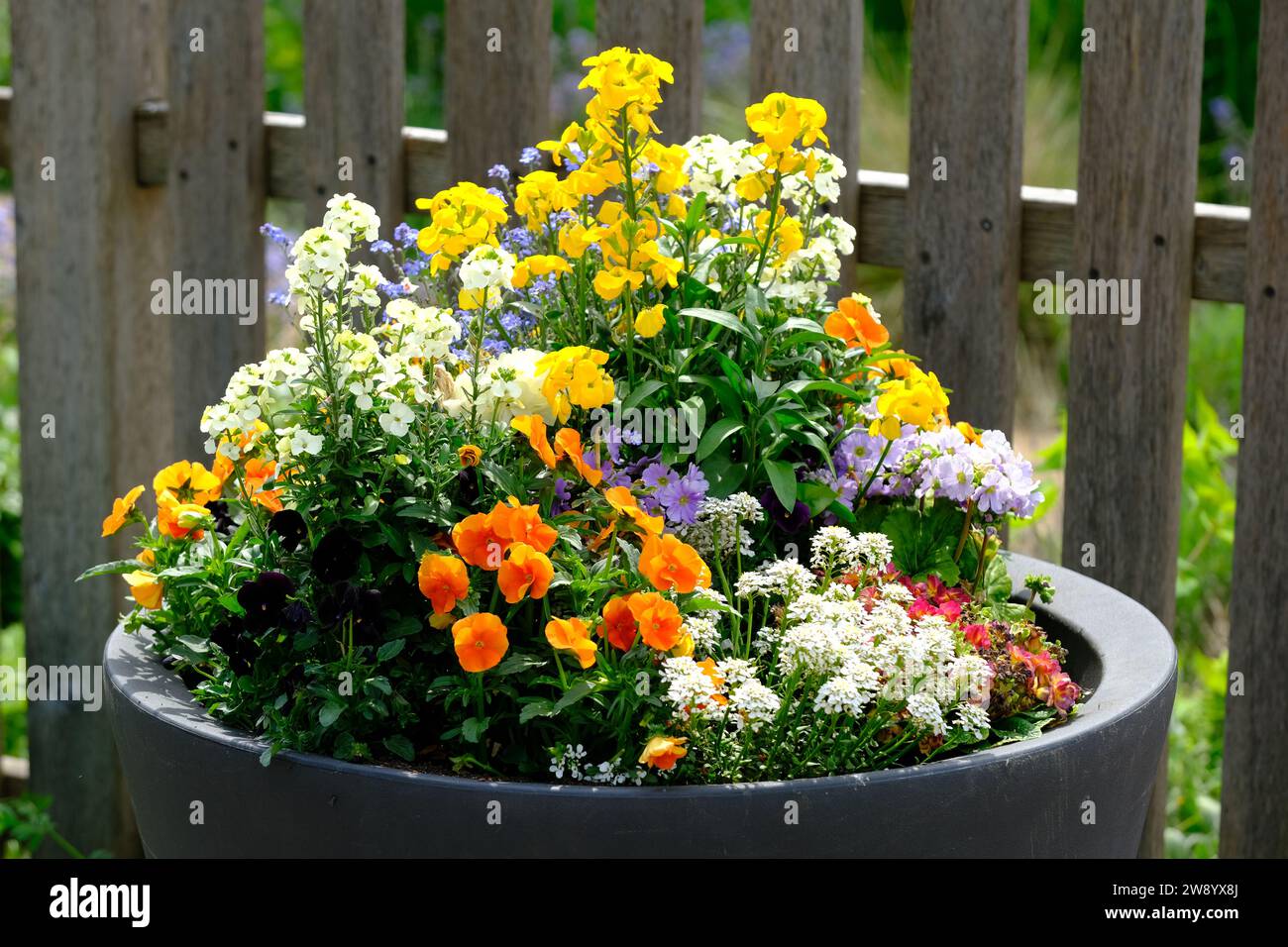 Berlin Germany - Gardens of the World - Seasonal flower container Stock ...