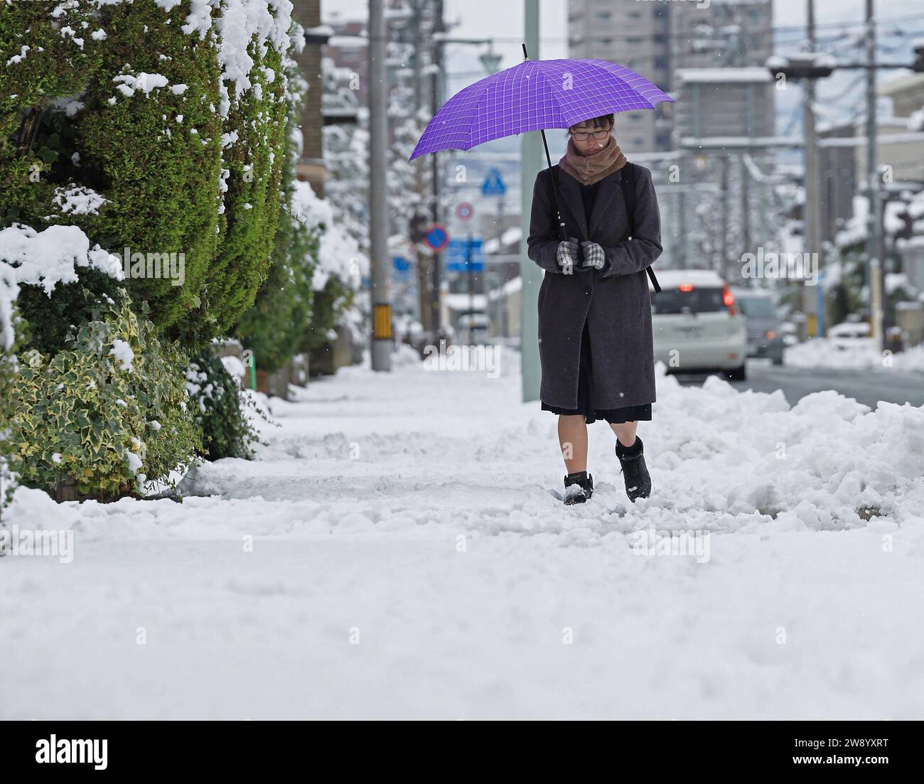 The gournd is covered with snow brought by strong cold wave in Tottori ...