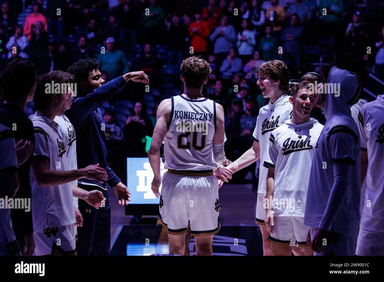 Purcell pavilion hi-res stock photography and images - Alamy