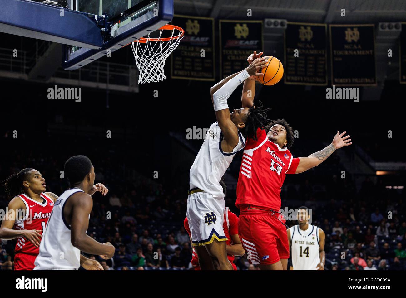 USA. 22nd Dec, 2023. December 22, 2023: Notre Dame forward Carey Booth ...