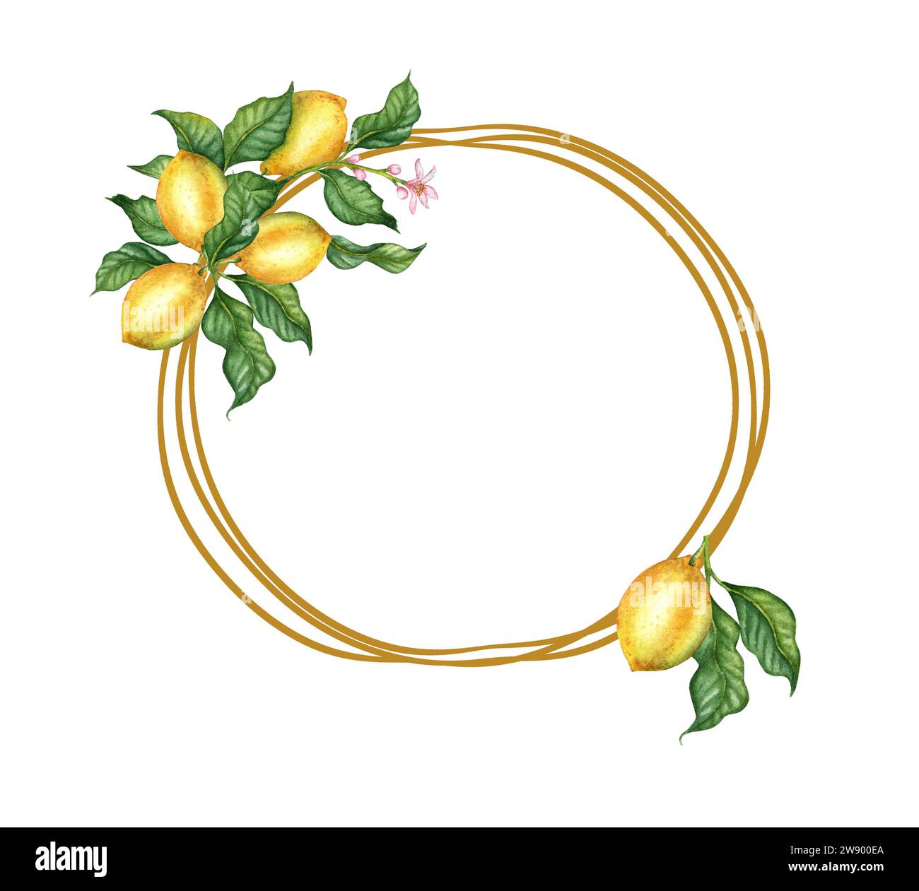 Round frame Lemons are yellow, juicy, ripe, with green leaves, flower ...