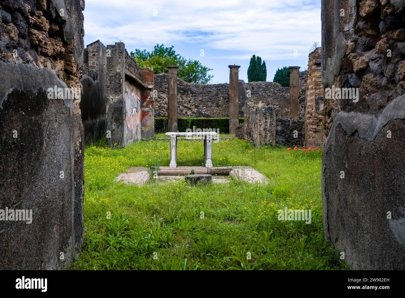 Ruins of the Casa dei Dioscuri in the archaeological site of Pompeii ...