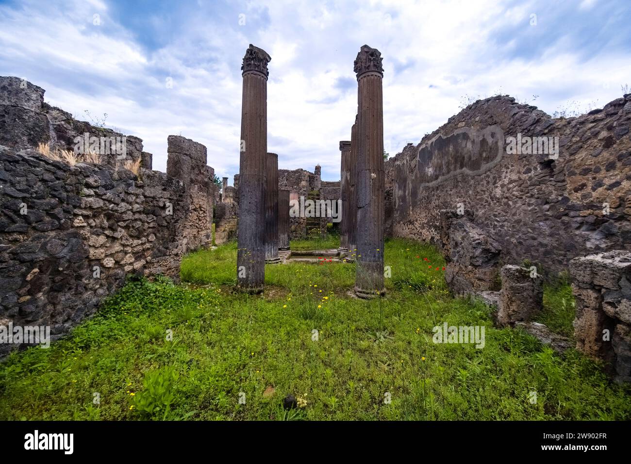 Ruins of the Casa dei Dioscuri in the archaeological site of Pompeii ...