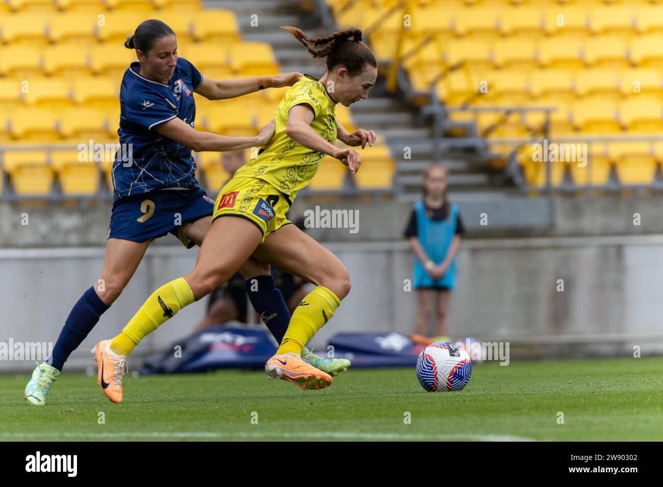 Phoenix spp hi-res stock photography and images - Alamy