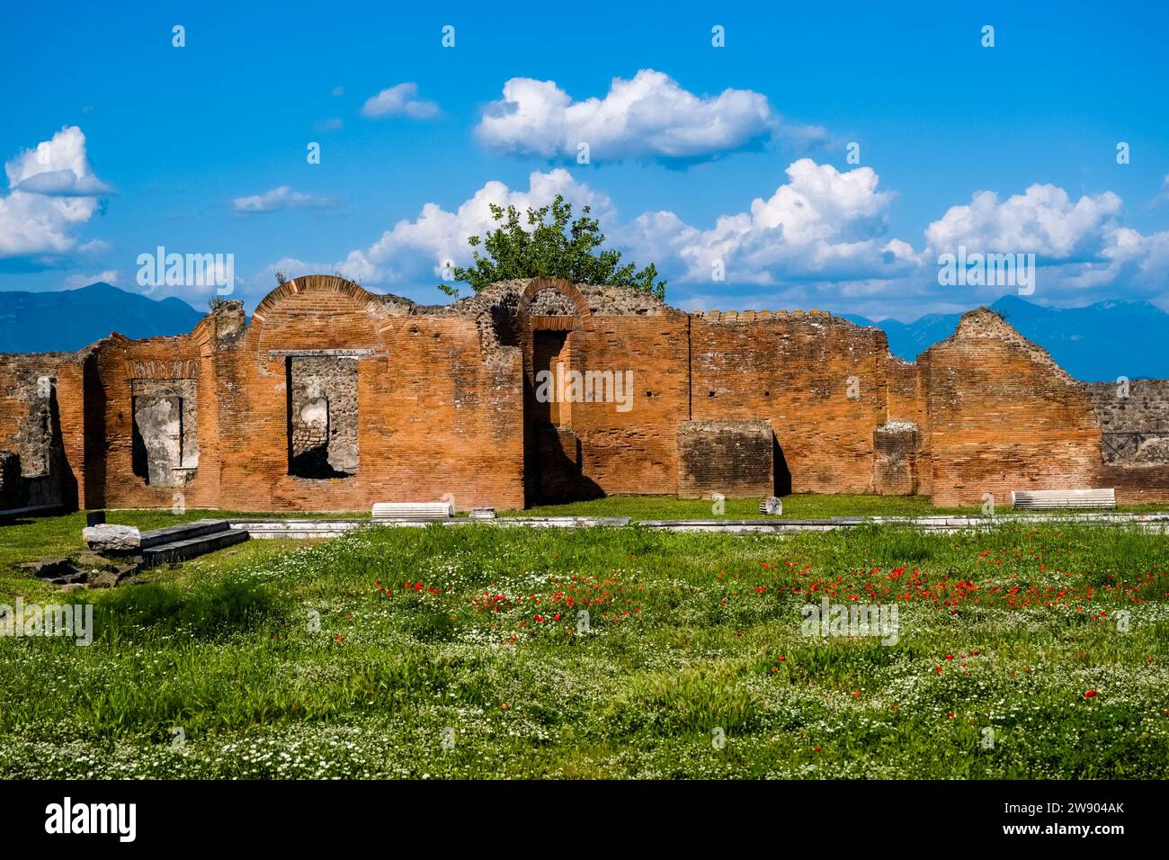Ruins in the archaeological site of Pompeii, an ancient city destroyed ...