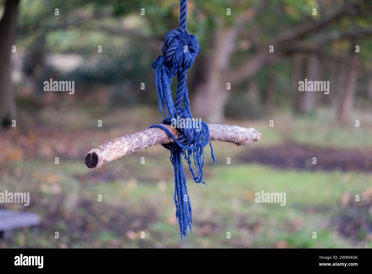 Hand made swing from old blue rope and a branch, out of focus ...