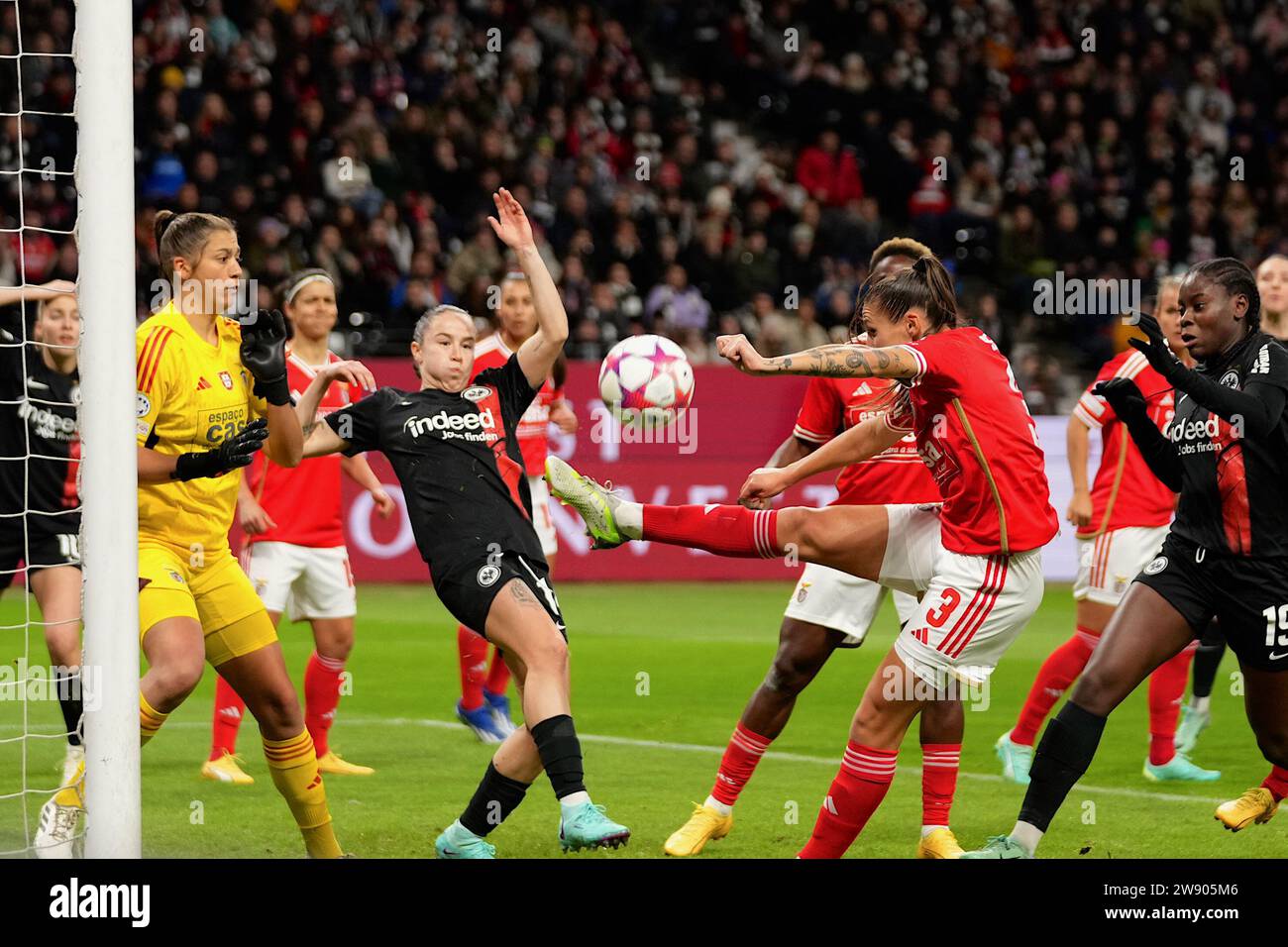 Frankfurt, Germany. 21st Dec, 2023. December 21, 2023, Frankfurt, Hesse, GERMANY: Frankfurt ...