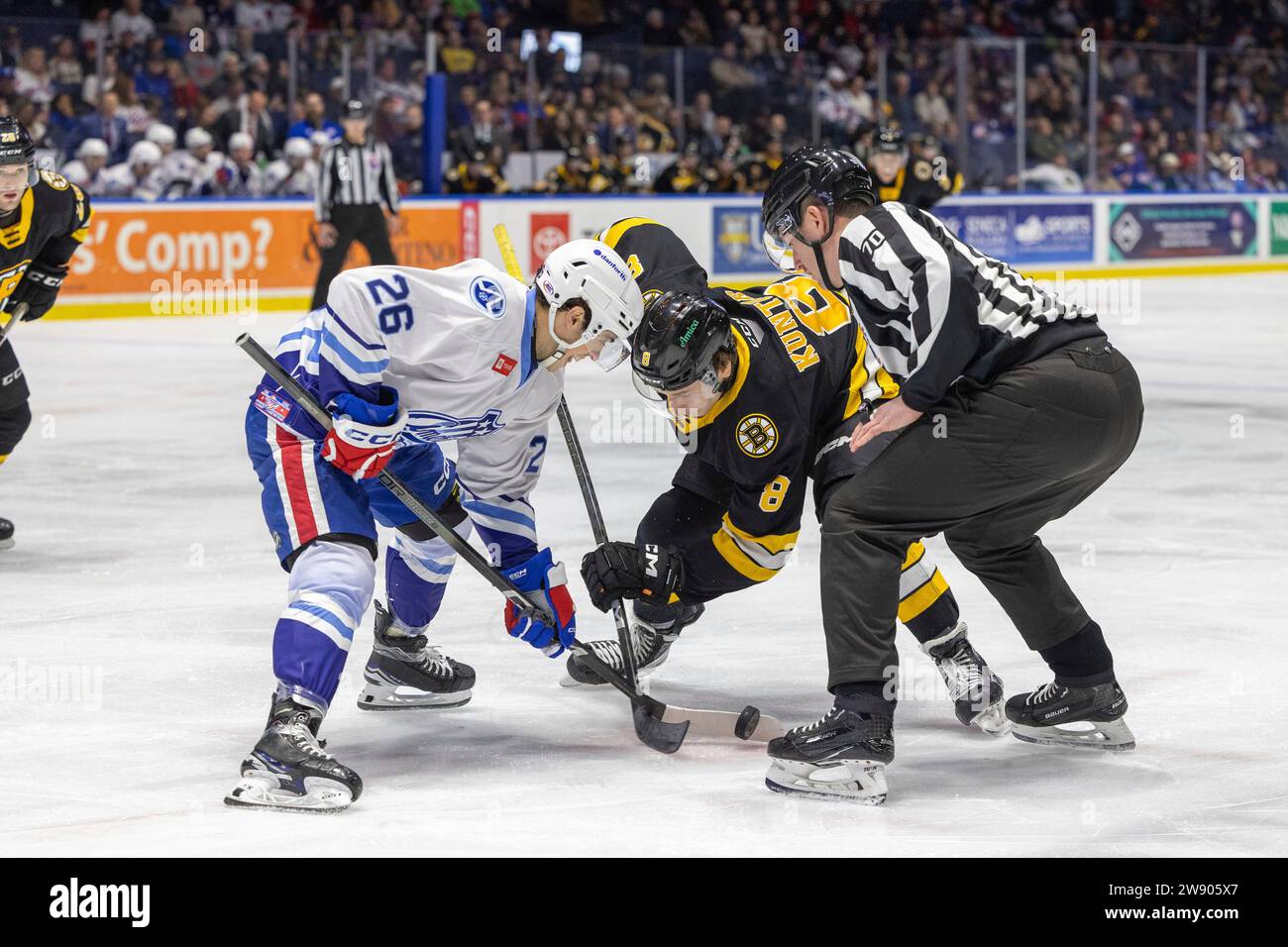 December 22nd 2023: Rochester Americans forward Mason Jobst (26) takes ...