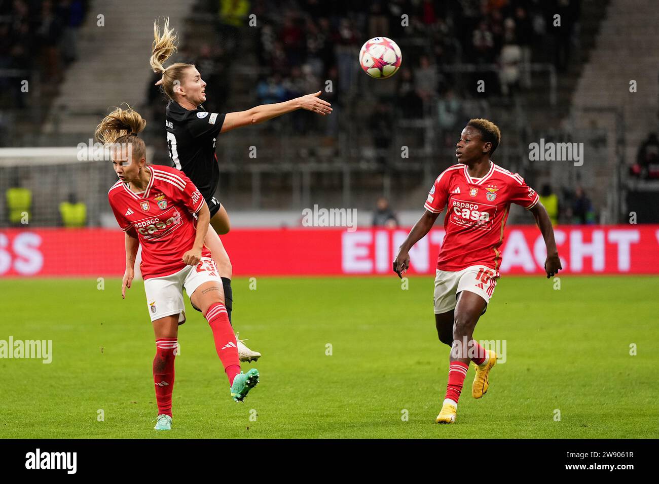 Frankfurt, Germany. 21st Dec, 2023. December 21, 2023, Frankfurt, Hesse ...