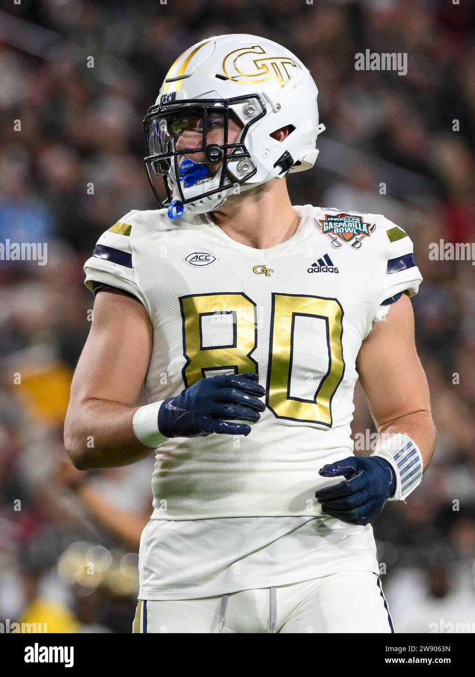 Tampa, FL, USA. 22nd Dec, 2023. Georgia Tech tight end Brett Seither ...