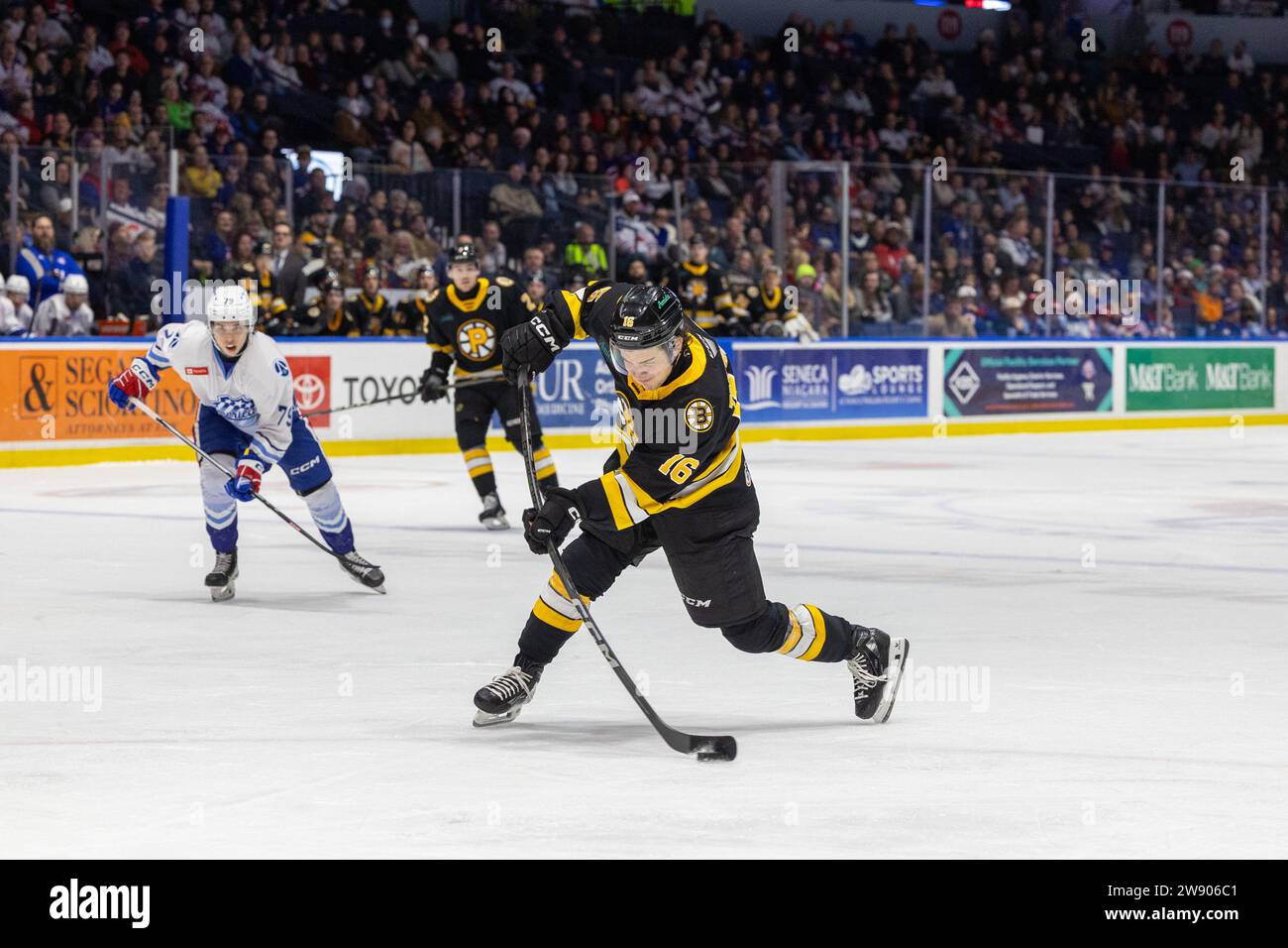 Rochester, New York, USA. 22nd Dec, 2023. Providence Bruins forward ...