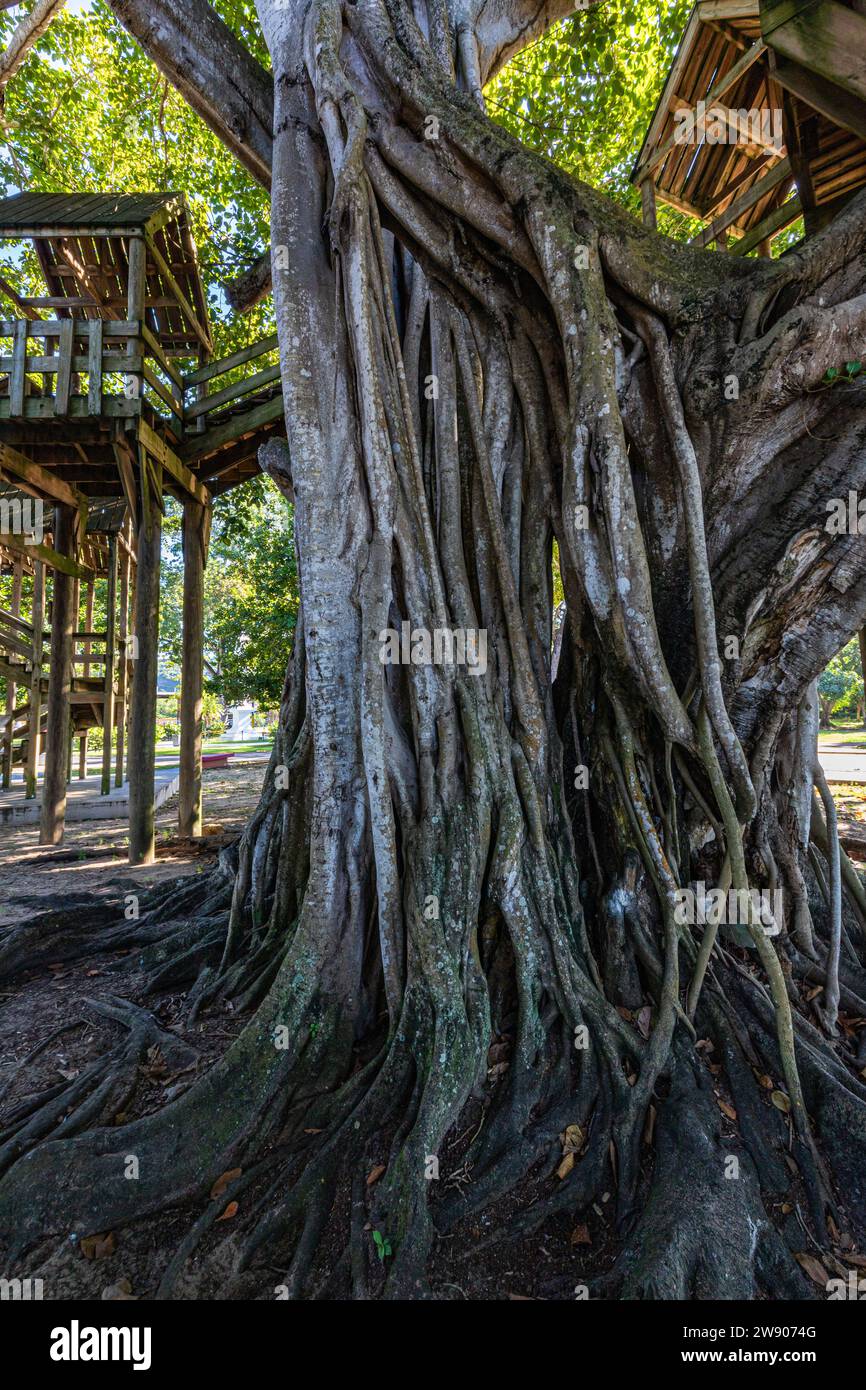 Columbus Park Parque de Colon on the waterfront in Aguadilla. This ...