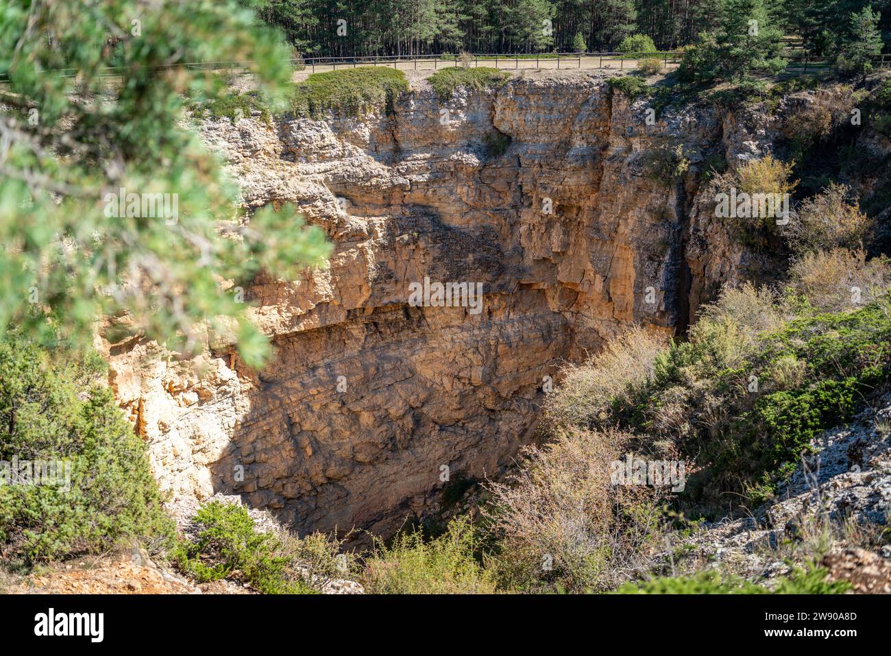 Breathtaking Natural Limestone Sinkhole in Sunny Forest Stock Photo - Alamy