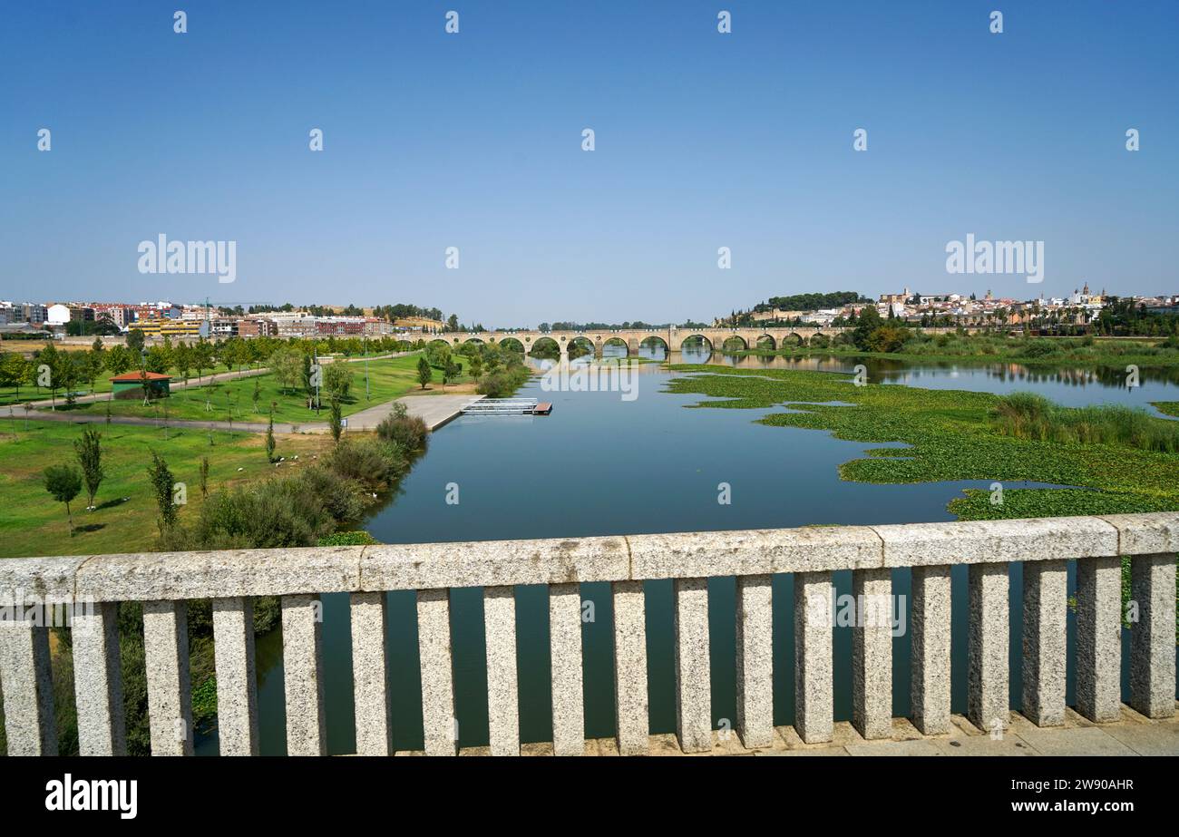 Summer in Spain along the country road many fields and cattle and pigs ...