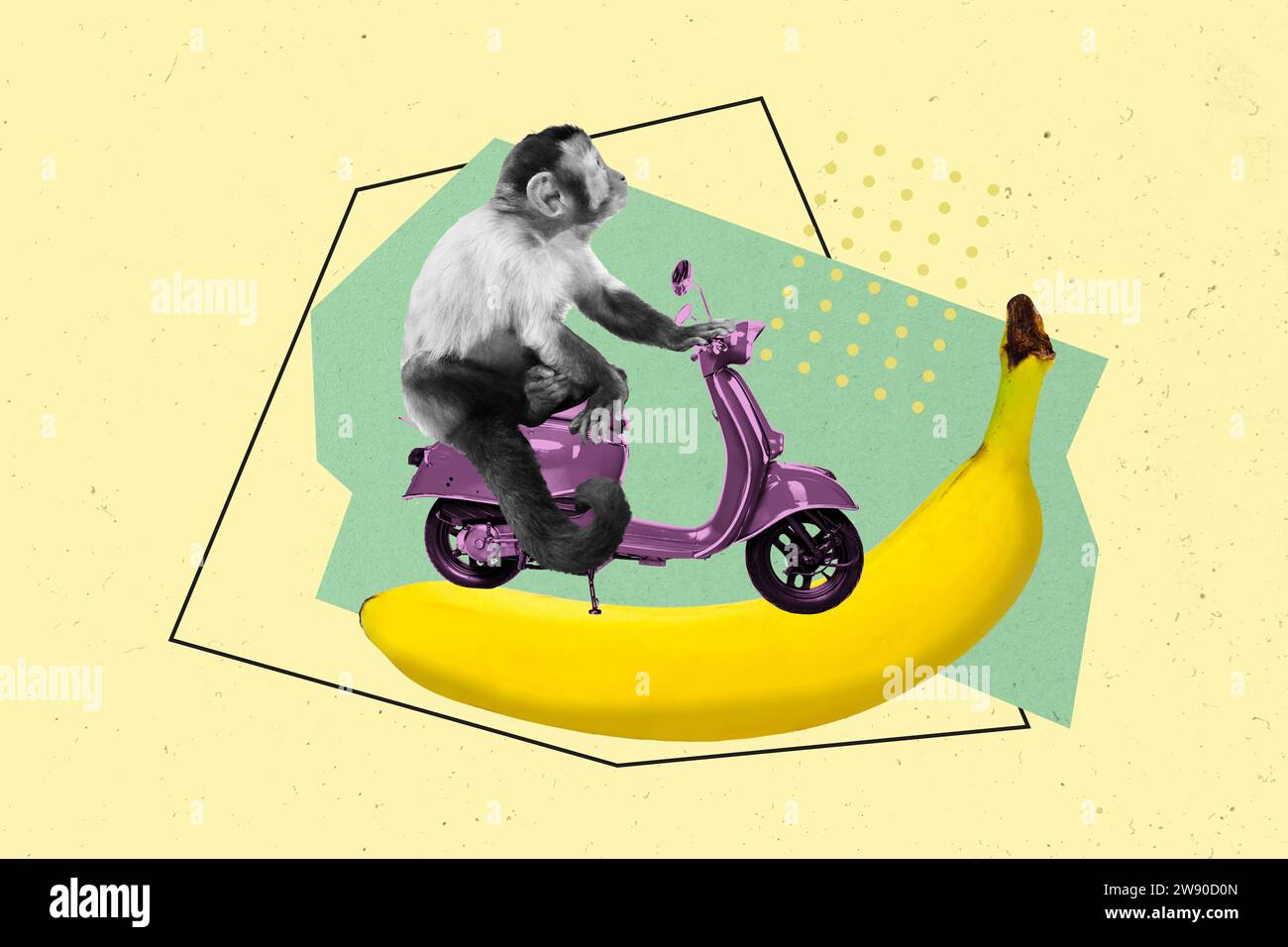 Composite collage image of funny monkey riding scooter delivery banana ...