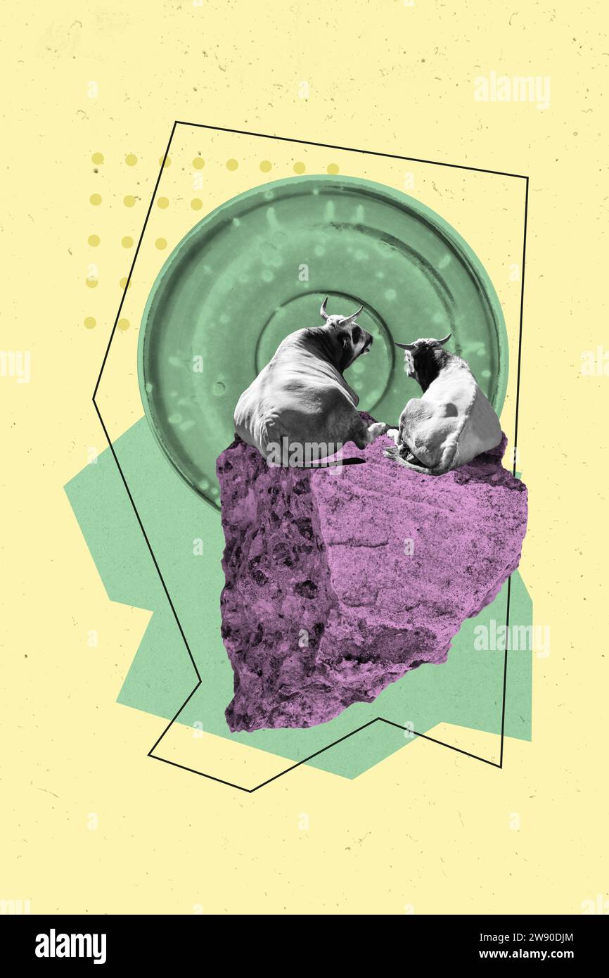 Creative poster collage of two cow lying relax rock stone ecology farming eco friendly ...