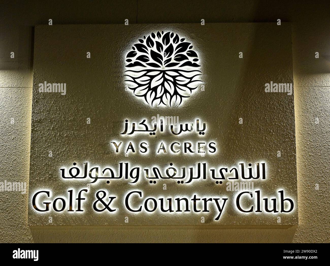 Abu Dhabi, United Arab Emirates. 08th Dec, 2023. A close up view of the ...