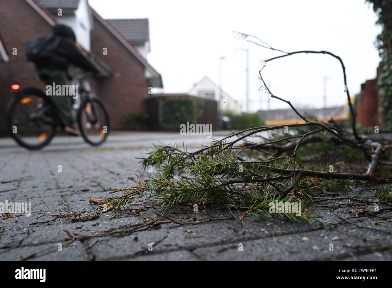 Leer, Germany. 23rd Dec, 2023. One day after the storm "Zoltan ...