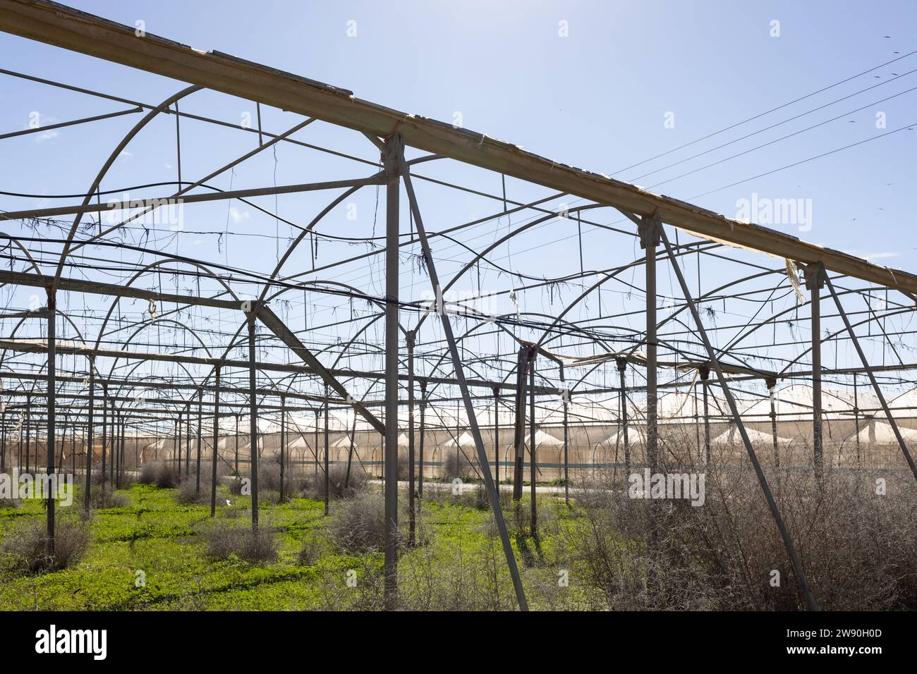 Greenhouse structure hi-res stock photography and images - Alamy